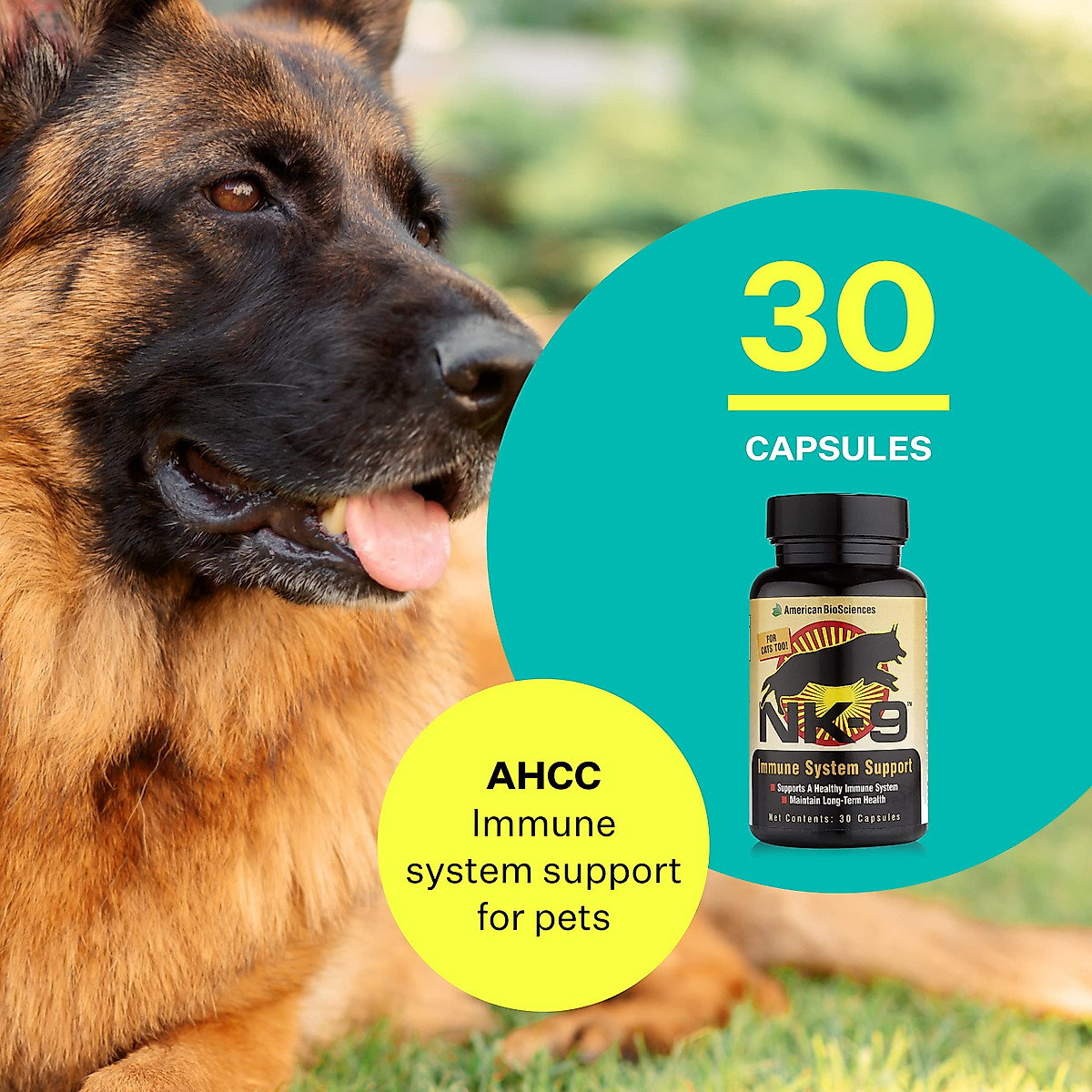American BioSciences NK-9, AHCC Supplement for Dogs & Cats - Dietary Supplement to Support Immune System - Made for Pet's Immune Defenses - 30 Capsules, 250mg/capsule