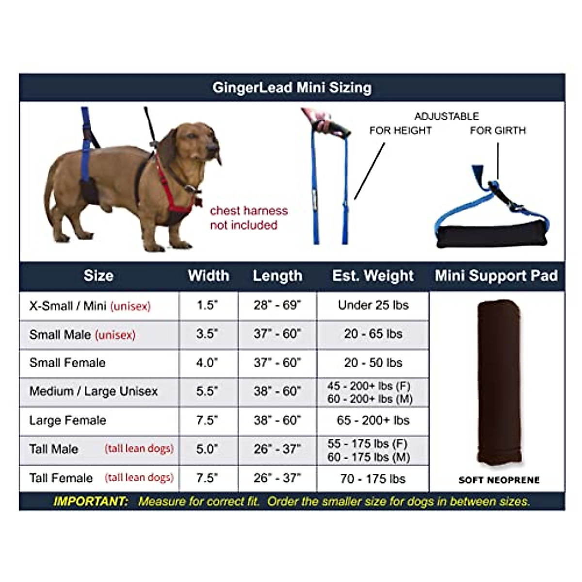 GINGERLEAD Dog Sling Hip Support Harness, X-Small Fits Little Pets Under 25 lbs and Dachshunds with IVDD, Spinal Disc Disease, or Back Injuries. Assist Elderly, Paralyzed, or Recovering Pets.