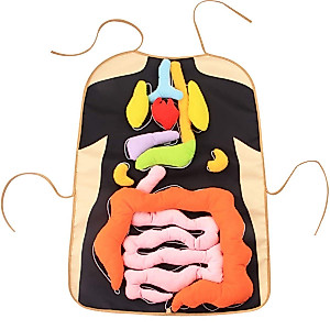 EDIONS 3D Organ Apron for Home Preschool Teaching Aid, Anatomy Apron Human Body Removabl Organs Apron for Kindergarten Kids Children Physiological Education Toy
