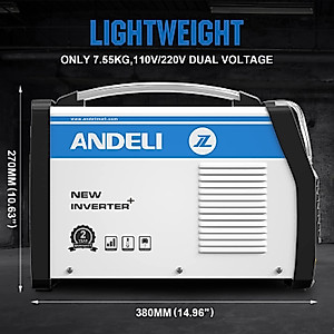 ANDELI 110/220V Cold Welder TIG Welding Machine with Cold/Hot/TIG Pulse MOS Tube Cold Welding Machine TIG-250MPL