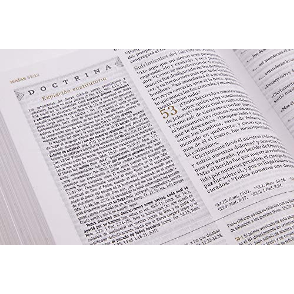 Biblia Reina Valera 1960 de Estudio para mujeres vino tinto-fucsia, símil piel | RVR 1960 Women Study Bible, Burgundy-Fuschia LeatherTouch (Spanish Edition)