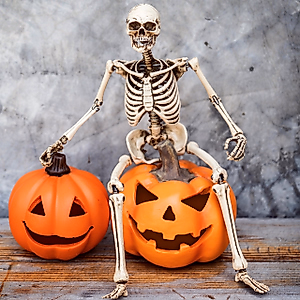 Halloween Skeletons Decorations, 16" Posable Plastic Skeleton 5 Packs, Full Body Skeleton Bulk with Movable Joints, Realistic Spooky Scary Skeletons for Outdoor Indoor Halloween Party Haunted House