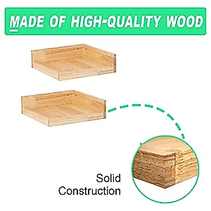 Coral Flower Accent Utility Levie Rustic Modern Floating Corner Wood Wall Shelves for Living Room Kitchen Home Office and More, 12 inches, Walnut