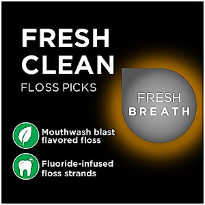 DenTek Fresh Clean Floss Picks, For Extra Tight Teeth, 75 Count, 3 Pack
