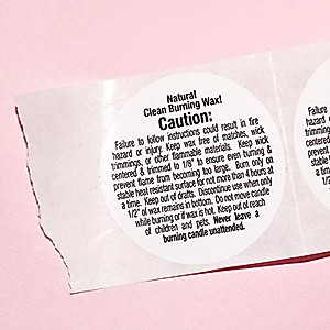 Cool Girl Candles |Rich Bitch Energy Sweet Amber + Floral Scented Candle | All Natural Coconut Soy Wax | The Best Strong Scented Candles for Home Fragrance | Clean Burning | Funny Gifts | 8.5 fl oz