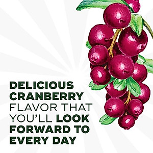 Align Digestive Health Prebiotic + Probiotic Supplement Gummies in Natural Fruit Flavors, Probiotic for Men and Women, #1 Doctor Recommended Brand, 50 Gummies