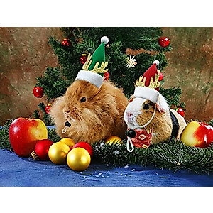 CooShou Christmas Guinea Pigs Bandanas Hat Rabbit Triangular Scarf Small Animals Christmas Costume Christmas Red Green Gift Pattern for Bunny Sugar Glider Guinea Pigs (L)