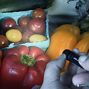 Coast KL10 100 Lumen LED Keychain Light, Pocket Sized, Black