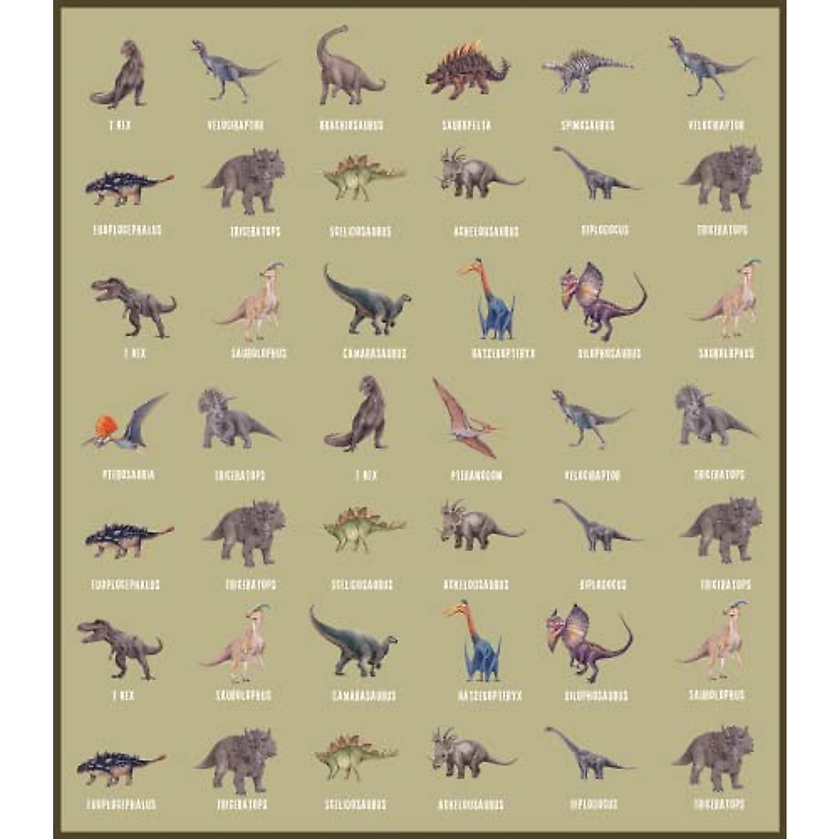 Dinosaur Blanket for Boys，Jurassic World Adults Dino Blanket，Soft Cozy Warm Throw Fleece Blanket for Couch Sofa Bed (Dinosaurs, 80" L x 60" W)