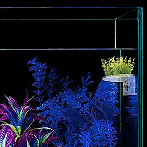 2Pack Aquarium Shelf,Transparent Acrylic Ledge Plants Holder for Substrate and Live Plants,with Strong Suction Cups for Fish Tank Multi-Layer Decorations
