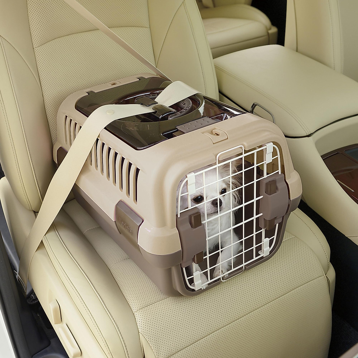 Richell: Double Door Carrier: Small Brown - Pet Transporter, Small Cats & Dogs Up to 11lbs, Attach to Car Seat Belts, Clear Top Door, Front Entry Gate