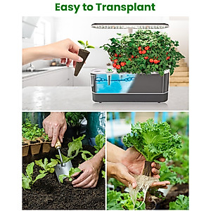 68pcs Hydroponic Pods Kit for Aerogarden, Grow Anything Kit, Indoor Garden Accessories - Compatible with All Brands (30 Grow Sponges, 12 Grow Baskets, 12 Grow Domes, 12 Pod Labels, 1 A&B Plant Food)