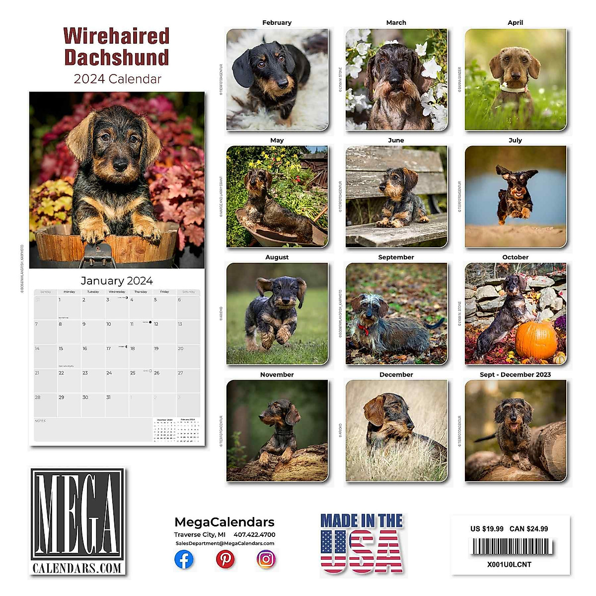 2023 2024 Wirehaired Dachshund Calendar - Dog Breed Monthly Wall Calendar - 12 x 24 Open - Thick No-Bleed Paper - Giftable - Academic Teacher's Planner Calendar Organizing & Planning - Made in USA