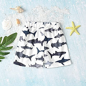 Baby Swim Trunks, Toddler Infant Swimsuit Shark Bathing Suit Beach Swimming Shorts (Shark, 0-6 Months)