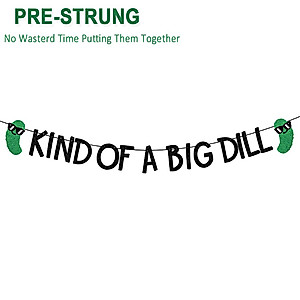 Pickle Birthday Party Decorations Pre-Strung Glitter Kind of a Big Dill Banner Cucumber Pickle Birthday Party Supplies Funny Party Favors