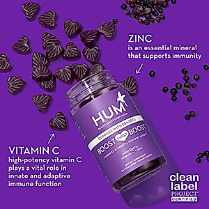 HUM Boost Sweet Boost - Immune Support Gummies with Vitamin C, Zinc & Elderberry - Elderberry Gummies for Immune System Support & General Wellness (60 Vegan Gummies)