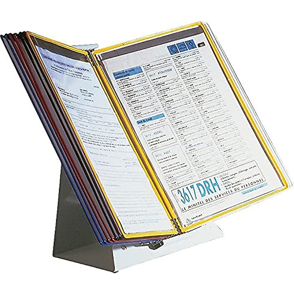 Tarifold, Inc. D291 Desktop Reference Starter Set, 10 Pockets, 5 Tabs