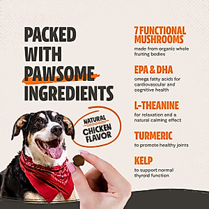 FreshCap Shroomies for Dogs - Turkey Tail Mushroom for Dogs, Immune Support Calming Chews, Treats Supplement with 7 Mushrooms for Cognition, Longevity, Cellular & Joint, Lipoma Removal, 180 Soft Chews