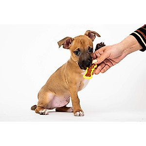 Hartz Chew 'n Clean Dental Duo Dog Treat & Chew Toy, Color Varies, Extra Small, 6 Count