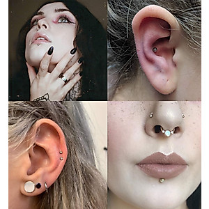 Masedy 16Pcs 16G 316L Stainless Steel CZ Labret Monroe Lip Rings Cartilage Helix Tragus Nose Piercing 6-8MM (C: 28Pcs 6MM)