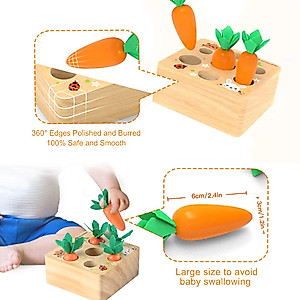 Ancaixin Montessori Toys for Babies 6-12 Months, Wooden Toys for 1 Year Old Boys and Girls, Educational Carrot Harvest Toy for Toddlers, Shape Sorting Matching Puzzle, Developmental Birthday Gifts