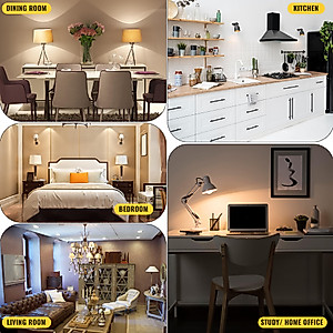 Halco ProLED BR30 Flood Led Light Bulbs, Dimmable, 8W 650 Lumens, 3000K Warm White 25000 Houers E26 Base, UL CRI 80 6-Pack