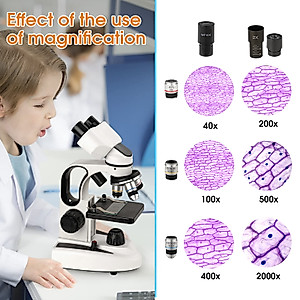 Sedumic Compound Binocular Microscope 40X-2000X LED Lighting for Kids Students Adults School Laboratory Home Education with Microscope Slides Set Phone Adapter Spiral Moving Scale