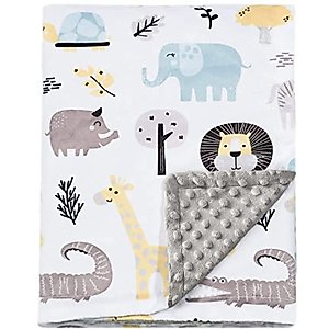 BORITAR Summer Baby Blanket for Boys Soft Minky with Double Layer Dotted Backing, Cute Animals Printed 30 x 40 Inch Receiving Blanket