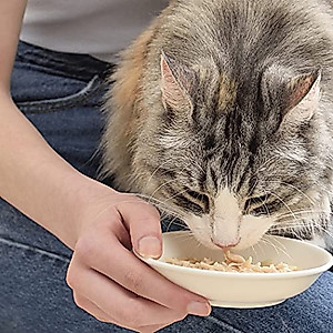 INABA Chicken Broth - Shredded Chicken and Seafood Flakes in Tasty Chicken Gravy - Side Dish Wet Treat for Cats - 4 Flavor Variety Pack (24 Pouches)