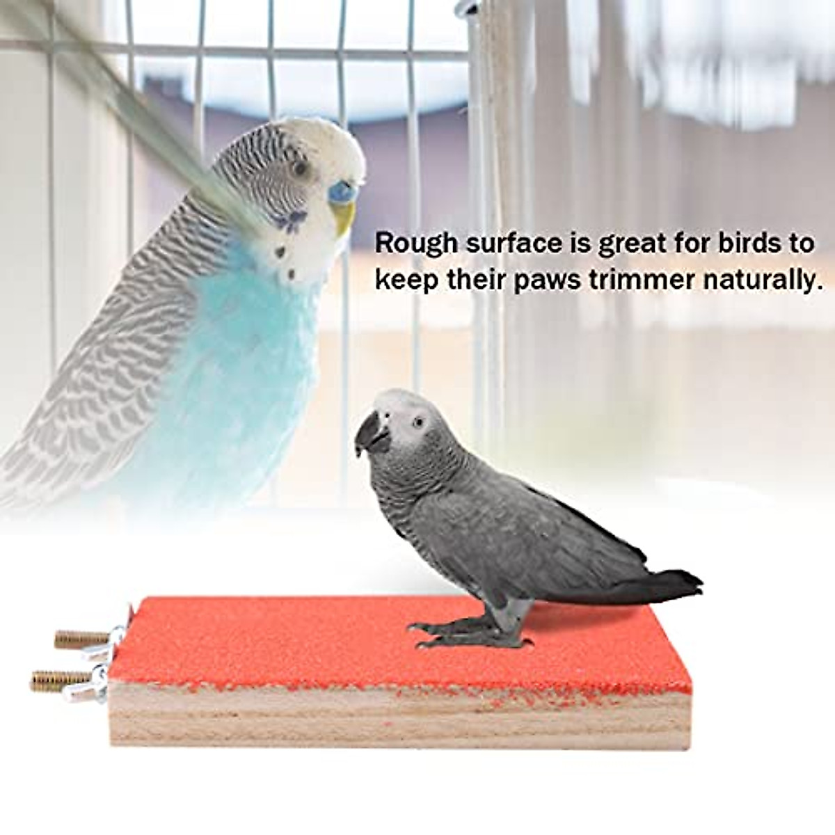 Hamiledyi 5 Pcs Parrot Perch Stand,Natural Wood Bird Perch Stand Platform Paw Grinding Sticks Cage Accessories Exercise Toys for Budgies Parakeets Cockatiels Conures Lovebirds