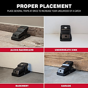 Catchmaster Jumbo Snapper Mouse Traps 6-Pk, Mouse Traps Indoor for Home, Reusable Rodent Killer for House, Outdoor Critter Catcher, Eco Friendly Pest Control for Garage, Basement, & Kitchen