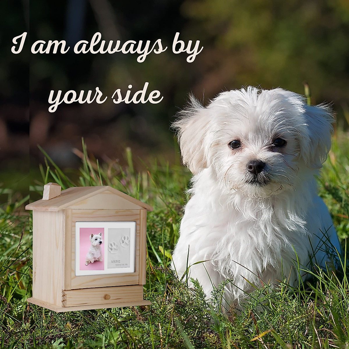 MonJolly Pet Urn, Wood Cremation Box with Photo Frame and Pawprint Clay for Personalized Urns. Memorial Keepsake for Ashes of Dogs, Cats, Small Animals. Bag for Ashes Included. Pet Memorial Gift.