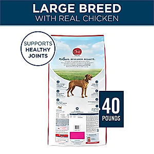 Purina ONE Plus Large Breed Adult Dog Food Dry Formula - 40 lb. Bag