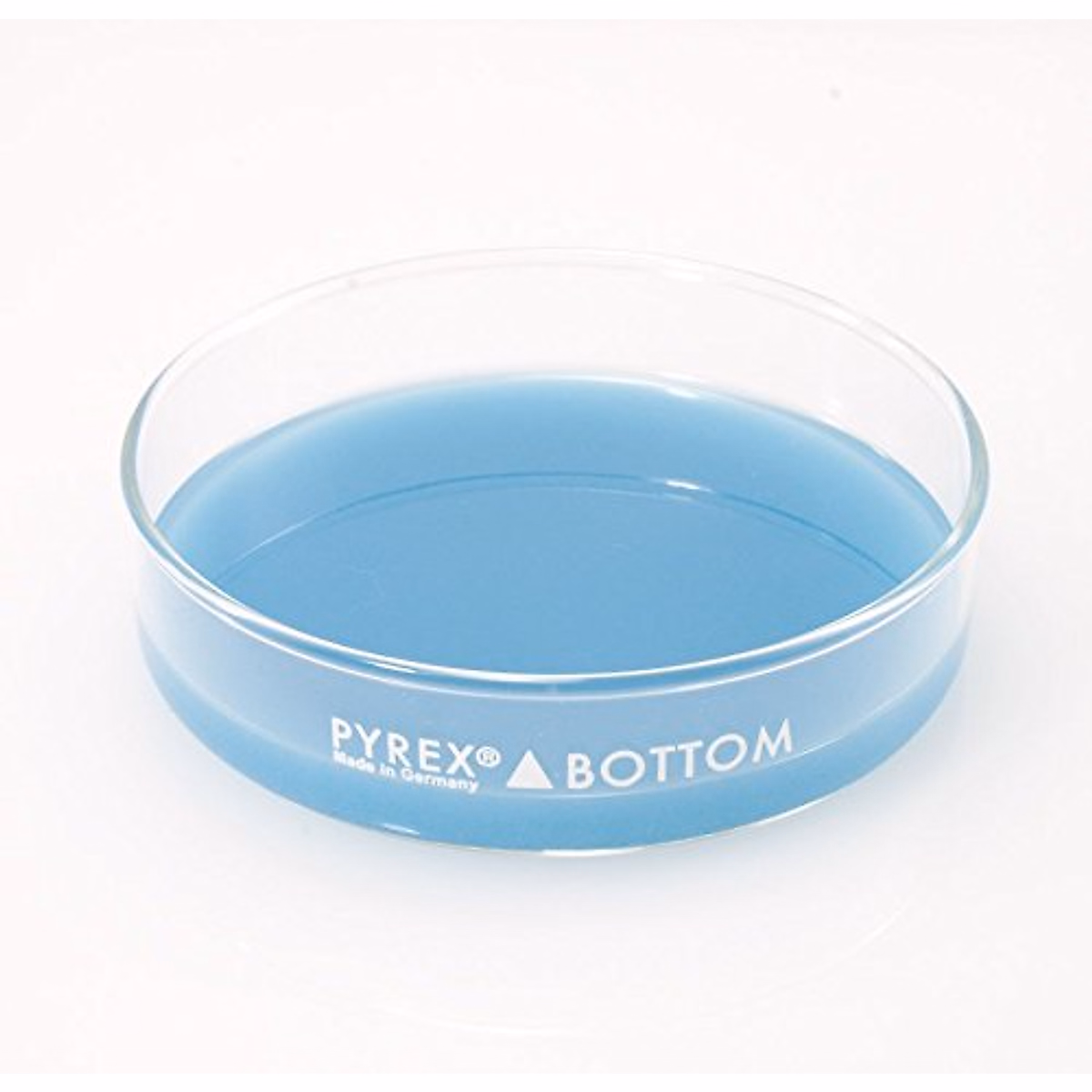 Living Systems Instrumentation DD-90-S-LTBLU Large Dissection Petri Dish, Light Blue, 93 mm D x 22 mm H