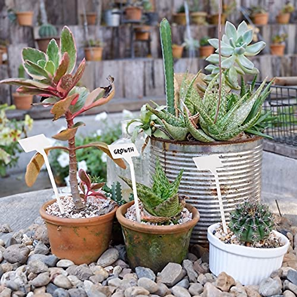 KINGLAKE GARDEN Outdoor Plastic Plant Labels,11.8 inch 30 Pack Outdoor Waterproof Durable Nursery Garden Markers,Plant Markers for Herbs,Flowers,Vegetable,Outdoor Indoor Plant