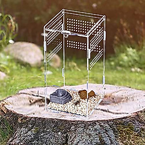 FORKPIE Habitat Terrarium Enclosure Reptile Terrarium Acrylic Tank Full View Jumping Spider Tarantula Enclosure, Insects Feeding Tank for Reptiles Mantis Lizard Habitat Snake Gecko(4.7x4.7x7.8inch)