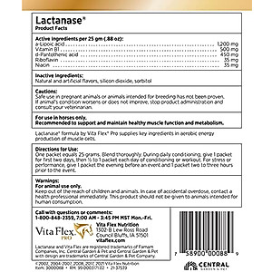 Vita Flex Pro Horse Lactanase Performance Supplement Single Serve Packet