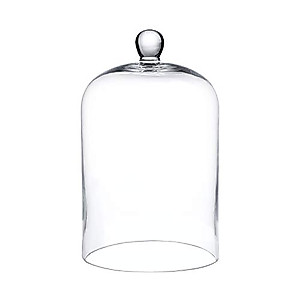 WHOLE HOUSEWARES | Cloche Glass Dome | Clear Glass Bell Jar | DIY Snow Globes | Decorative Cloche Jar | Glass Cloche to Cover Plants and Decorations | Cloche Jar for Home Décor (6"x10")