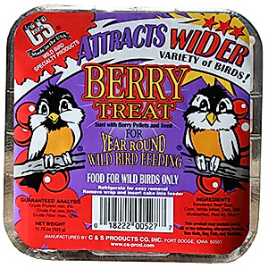 C&S Berry Suet Treat 11.75 Ounces, 12 Pack