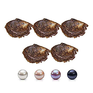 LGSY 7-8mm Mixed Colored Akoya Saltwater Cultured Pearl Oysters for DIY Jewelry Making, Pack of 5Pcs(White, Pink, Purple, Black)