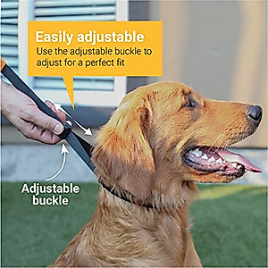 SVD.PET Dog Collar for No-Pull Training, Quick-Release Buckle Adjustable Collar for Small Medium Large Dogs (Medium Size)