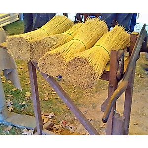 Broom Corn for Crafting and Broom Making 5 Pound Bundle 20" Length (Broom Corn)