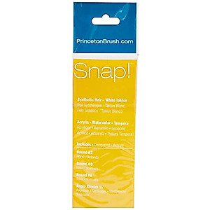 Princeton Snap Paintbrush Set, White