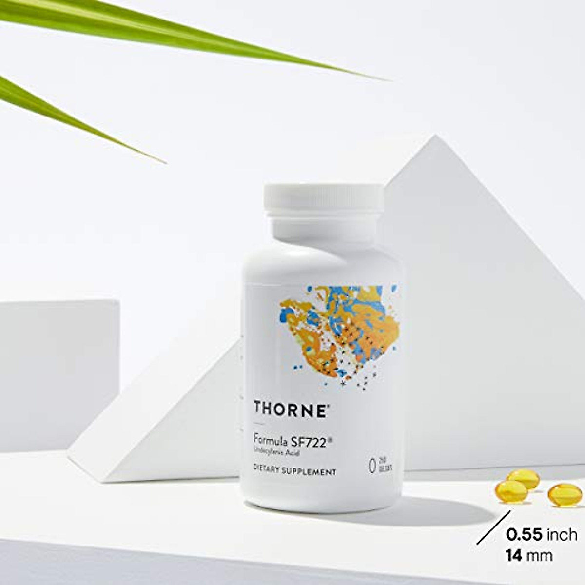 Thorne Undecylenic Acid - 250 mg of Undecylenic Acid - Fatty Acid Support for a Healthy Balance of Gut and Vaginal Flora - Gluten Free - 250 Gelcaps - 50 Servings