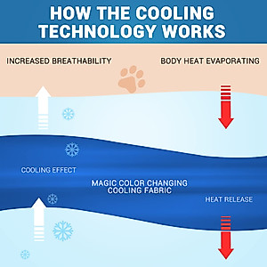 Rywell Upgrade Self-Cooling Mat for Dogs Extra Large, 44'' x 32'' - Endothermic Color Changing Arc-Chill Cooling Fiber - Washable Non-Toxic Summer Pet Outdoor Bed, Non-Slip&Foldable