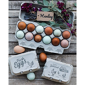 Half Dozen Empty Egg Cartons- Bulk 50 Full Dozen Can Split to 100 Half Dozen Size- Securely Holds 6 or 12 Extra Large Eggs