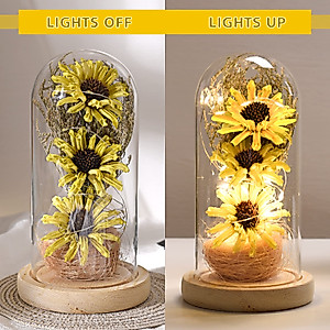 Sunflower Gifts for Women, Sunflowers Artificial Flowers in Glass Dome with LED Strip, Birthday Gifts for Mom & Grandma, Sunflower Decor on Mother's Day, Christmas, Valentine's Day (Yellow)