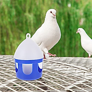 PATKAW 2 Pcs Pigeon Water Feeder Pet Drinker Dispenser Water Pot Container Automatic Bird Feeders Water Dispenser for Pet Parrot Sparrow 2L