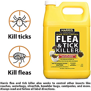 Harris Flea and Tick Killer, Liquid Spray with Odorless and Non-Staining Extended Residual Kill Formula (2-Pack, Gallon)