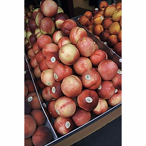 TAMRON - 18-200 mm F/3.5-6.3 Di III VC - for Sony E-Mount - Black - B011EMB